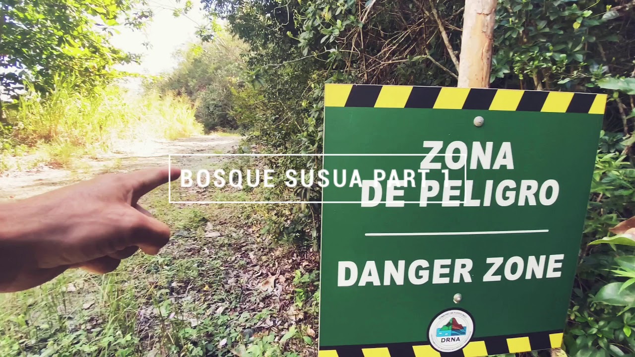 BOSQUE SUSUA PARTE 1 SABANA GRANDE 🇵🇷 - YouTube