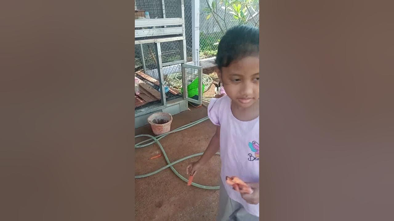 Kebun kelinci kampung gowes serua depok - YouTube