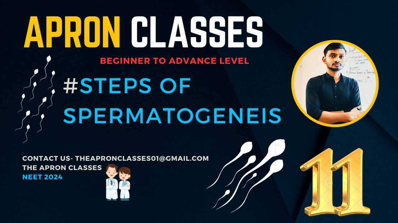 HUMAN REPRODUCTION - All Concept, Tricks and PYQs Covered | NEET| APRON ...