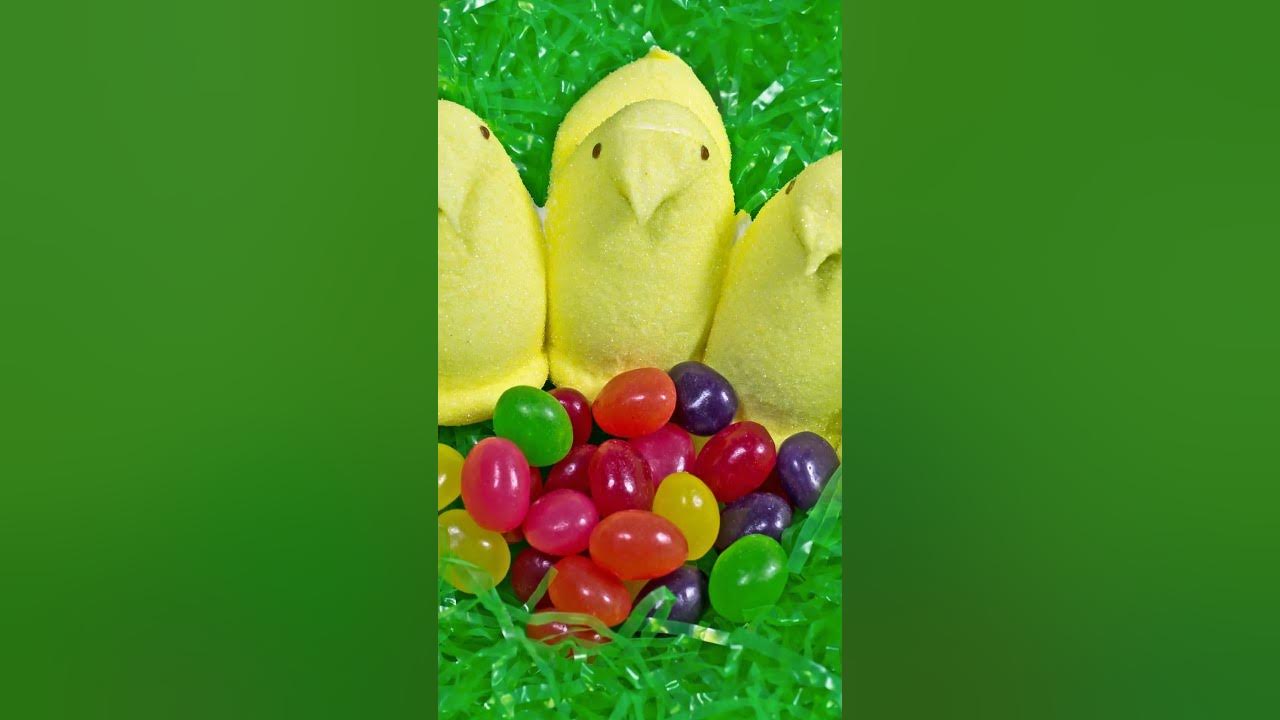 Fun Alert - Easter Peeps Or Jelly Beans YUMMY It's Peep Day YouTube ...