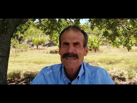Ramazan Bayramı Ve Göç Şiiri
