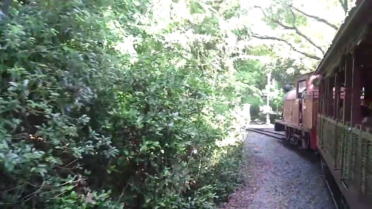 Disney's Animal Kingdom Wildlife Express Train 2011 - YouTube