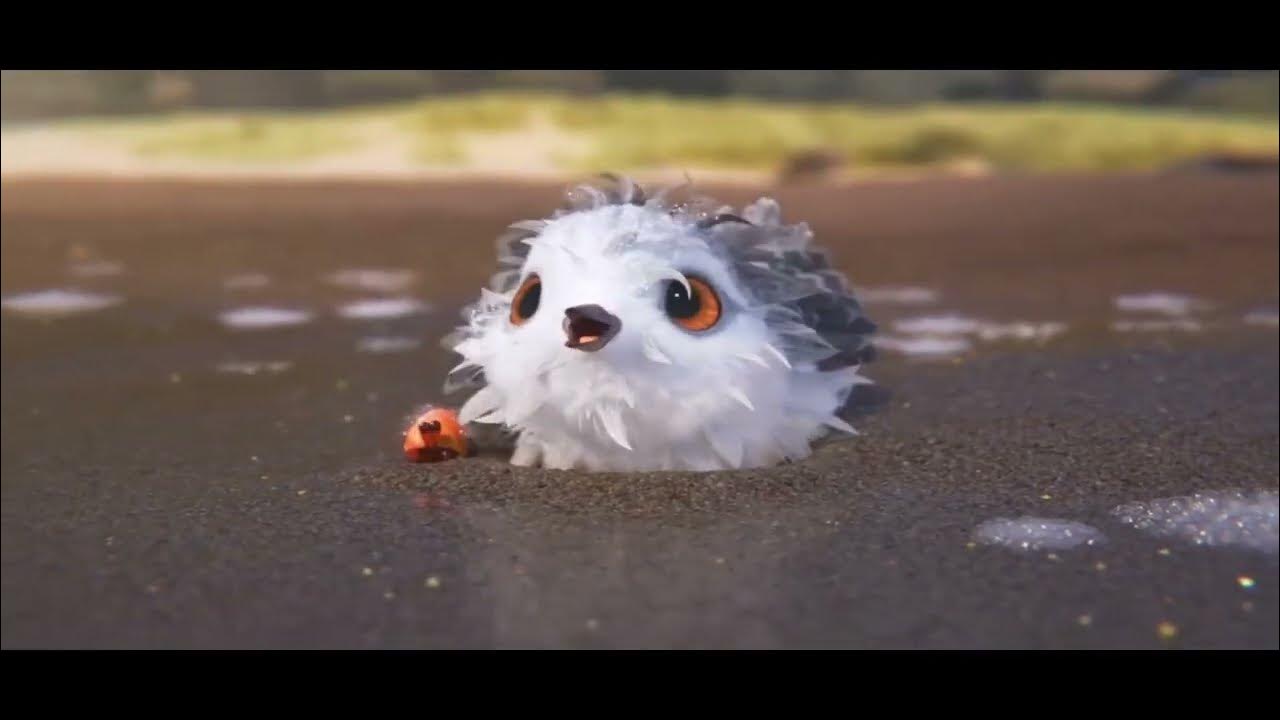 Best Animated Short Movie | Piper (2016) | Summary - YouTube