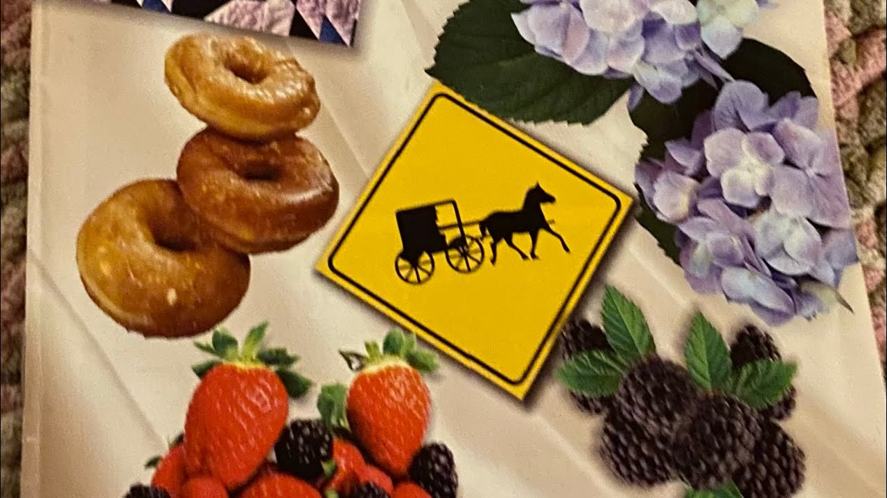 Missouri Mennonite Area! #countrylife #groceryhaul #largefamily #amish ...