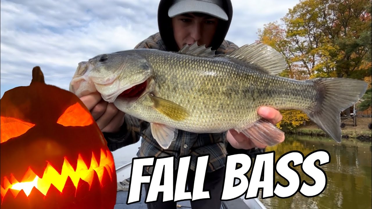 Fall Bass Fishing With Jigs - YouTube