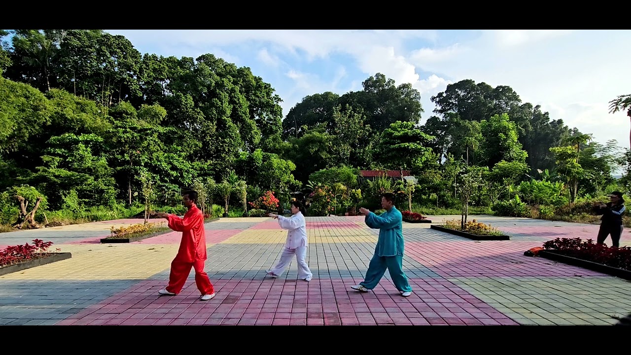 Taiji Form 24 - YouTube