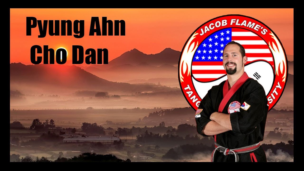 Pyung Ahn Cho Dan Intermediate Form #1 Reference Demonstration - YouTube