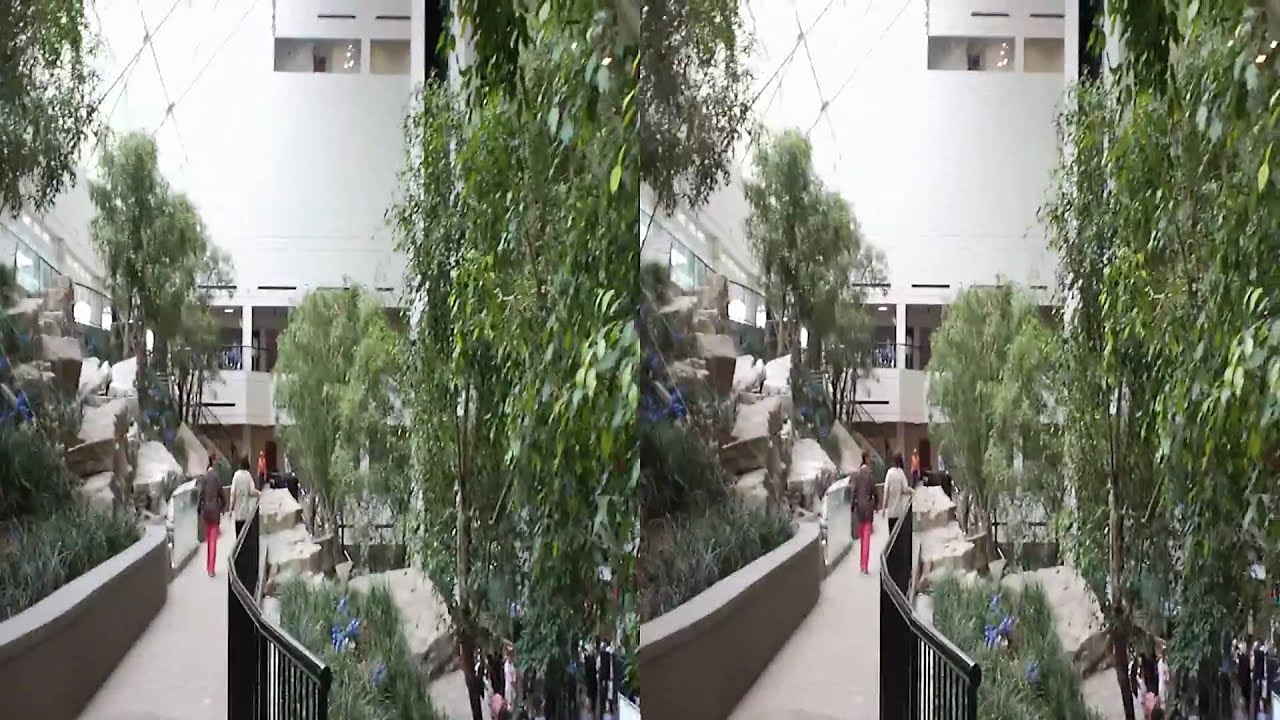 3D Atruim: Saint Vincent Hospital Scenic Atrium Walk-Through - YouTube