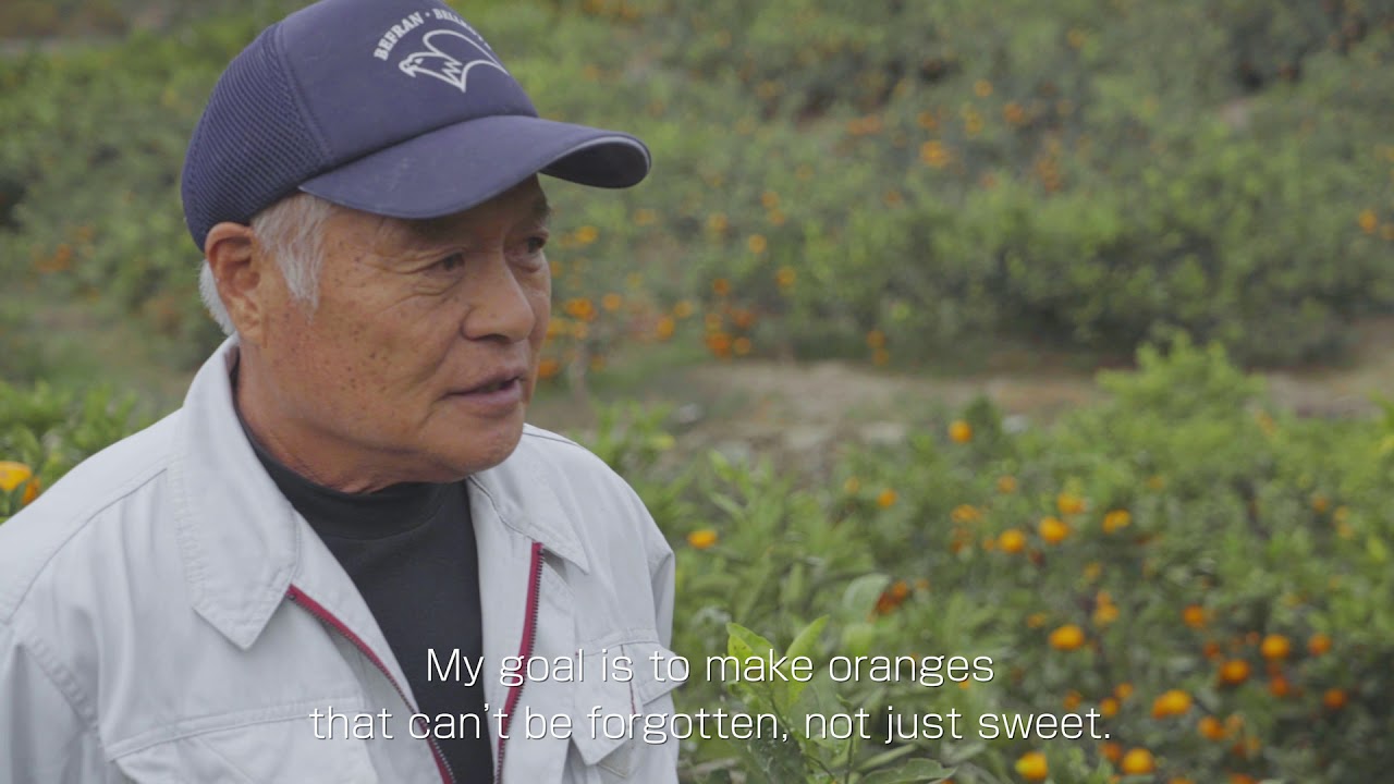 Takano Fruits Travelogue Orange (Arida city,Wakayama Prefecture ...
