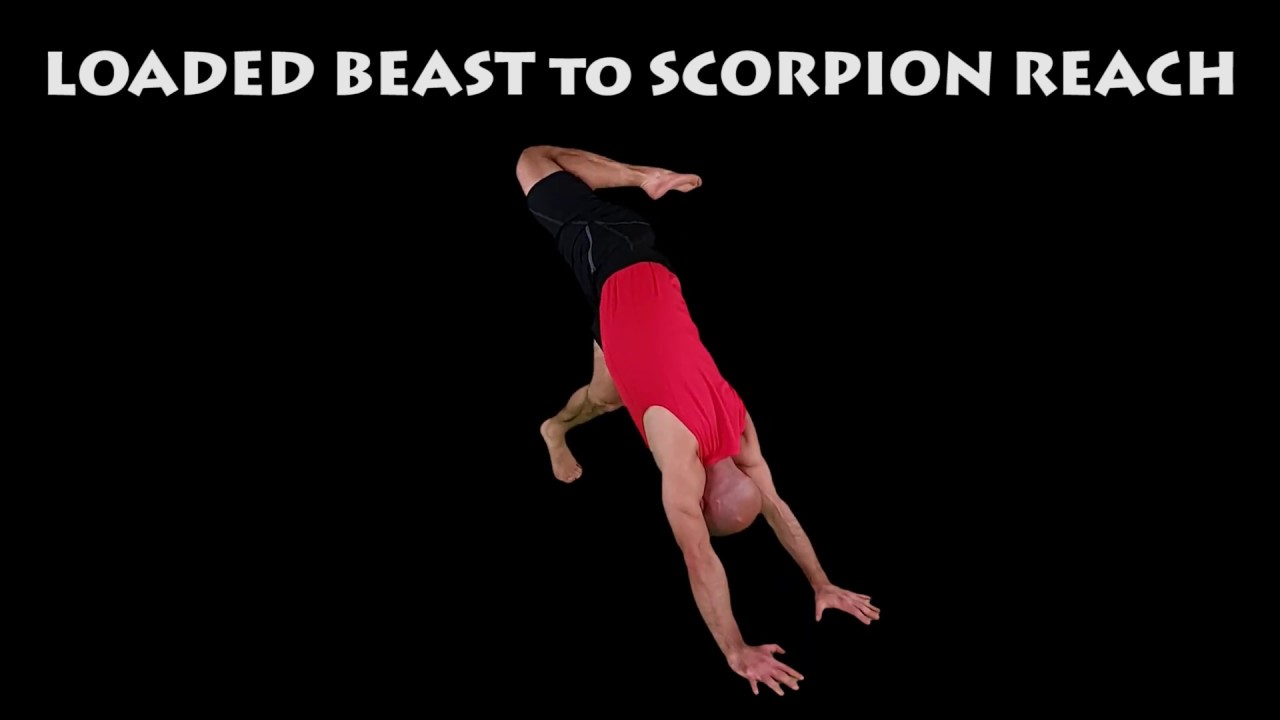 06 - LOADED BEAST to SCORPION REACH - YouTube