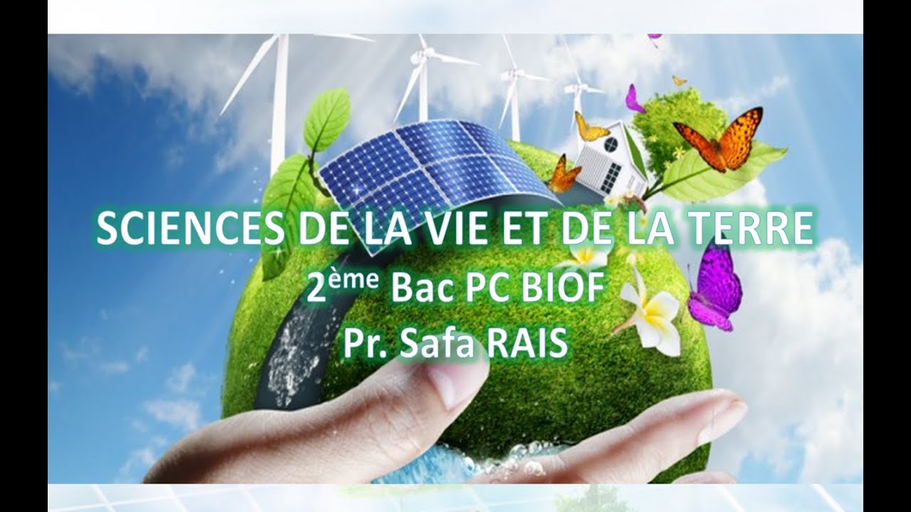 Utilisation des matières organiques et inorganique : Les déchets ...