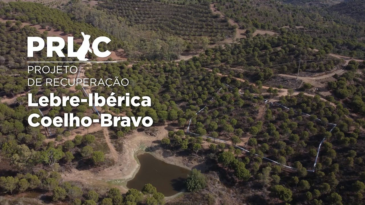 1ª e 2ª fase do Projeto PRLIC - YouTube