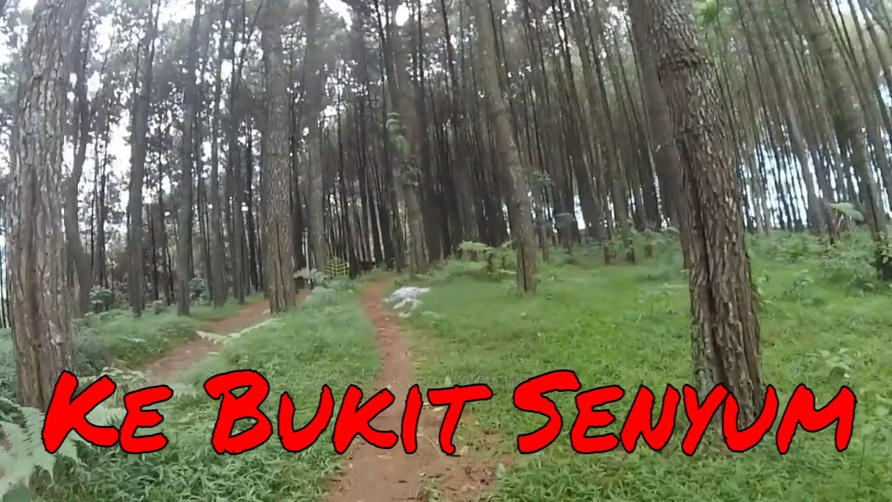 Rute ke Bukit Senyum Cipada, Kab Bandung Barat Dari Situ Lembang Dano ...