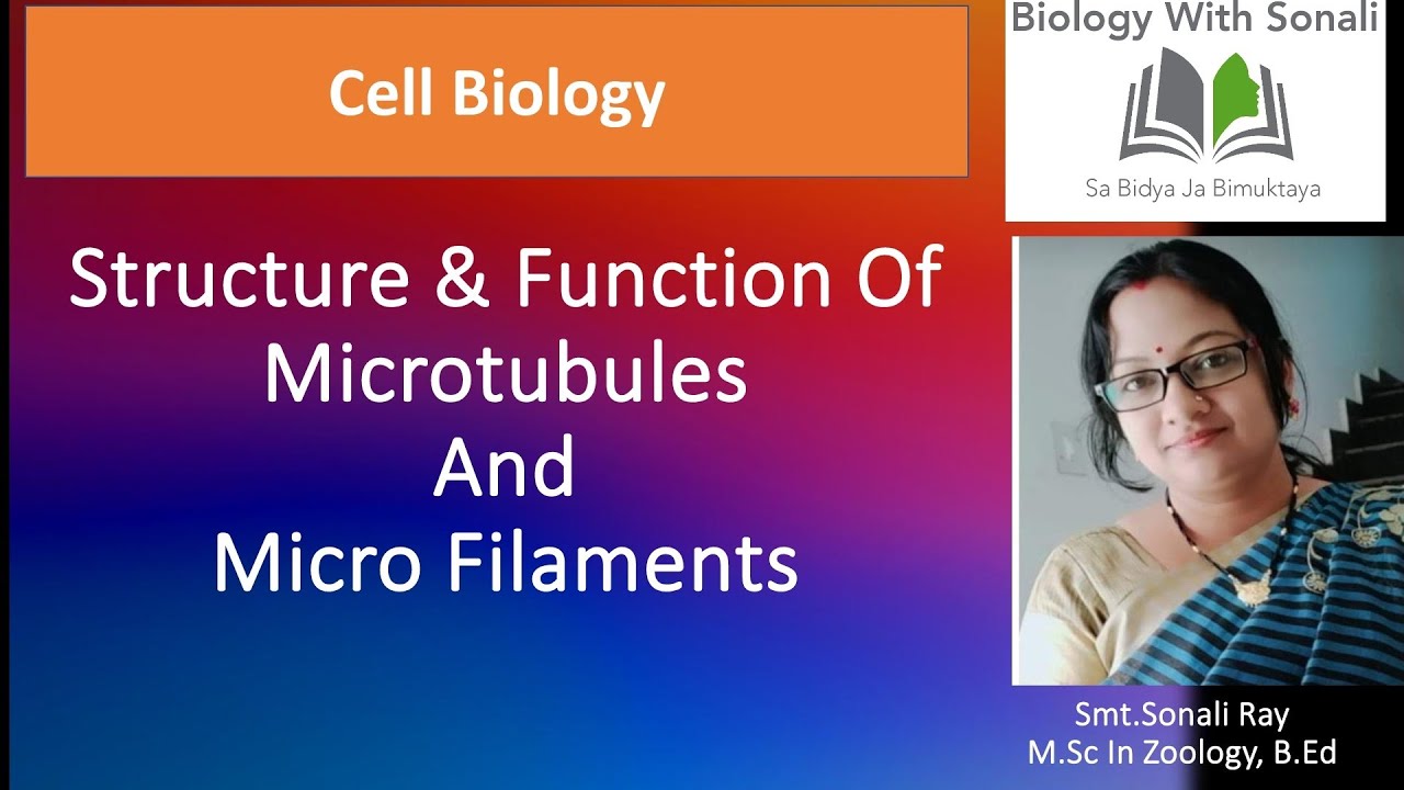 Structure And Function Of Microtubules And Micro Filaments || B.Sc 2nd ...