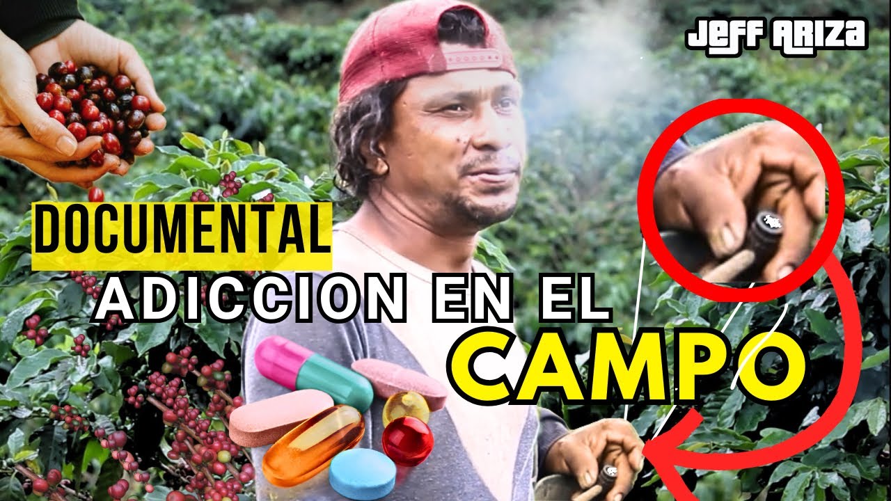 BAZUCO la DR0G4 M4LDITA (DOCUMENTAL) caficultores y una verdad oculta 🤫 ...