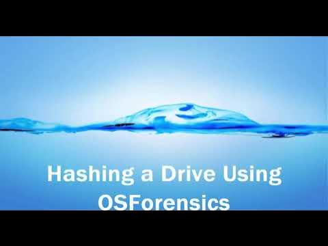 Hashing a Drive Using OSForensics - YouTube