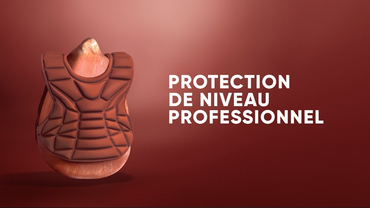 Le traitement insecticide pour semences Lumivia™ | Corteva Agriscience ...