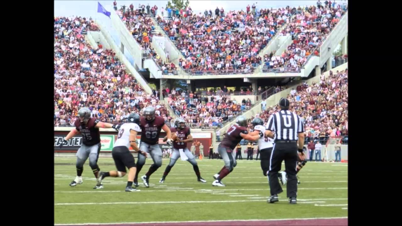 Over 80 Griz Cat Football Parties Around the World on Saturday - YouTube