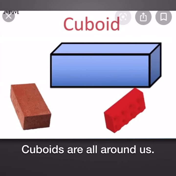 Cuboid- Cuboid facts for kids - YouTube