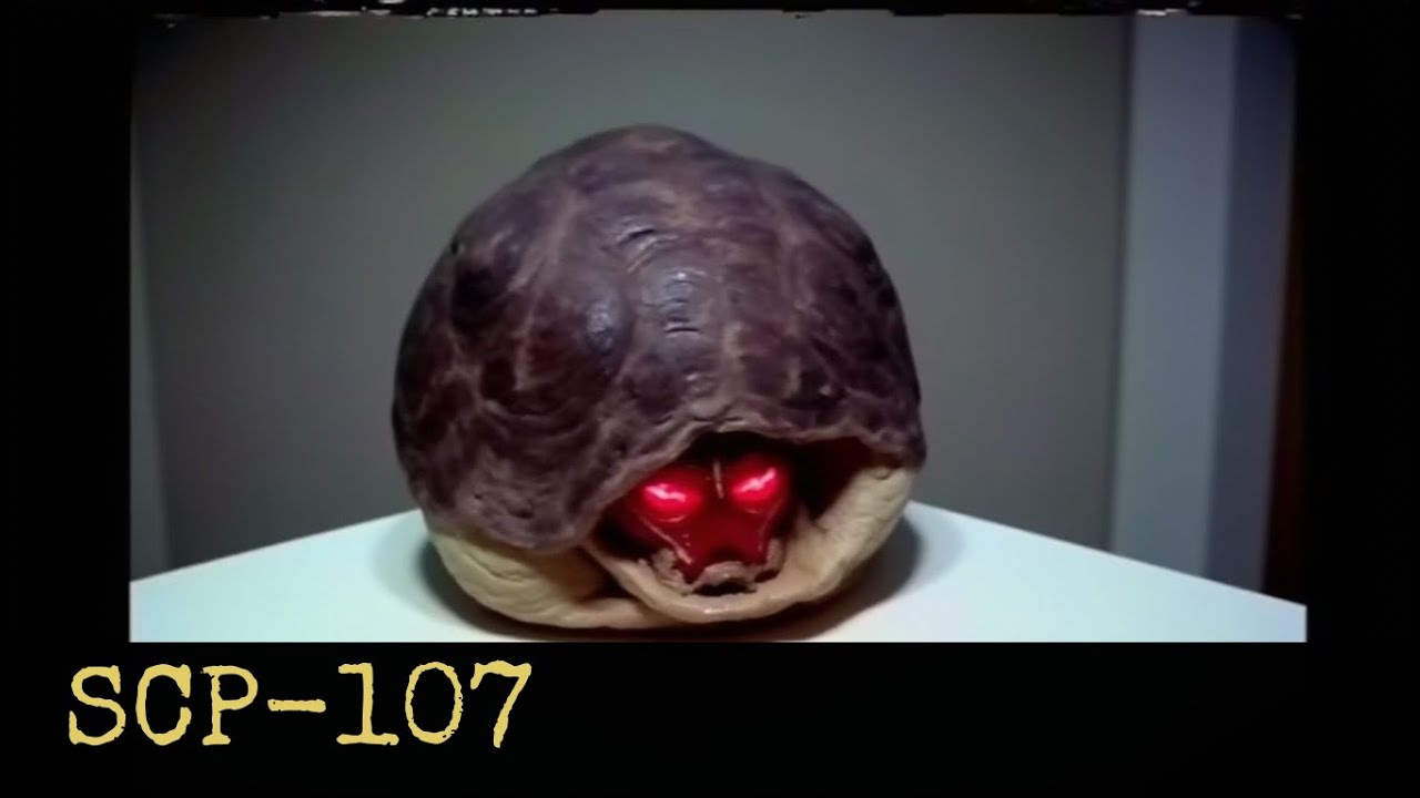 SCP-107 The Rainmaker Shell - YouTube