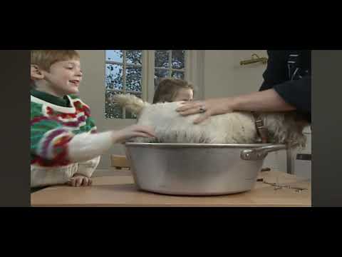 Teletubbies smutsig hund 