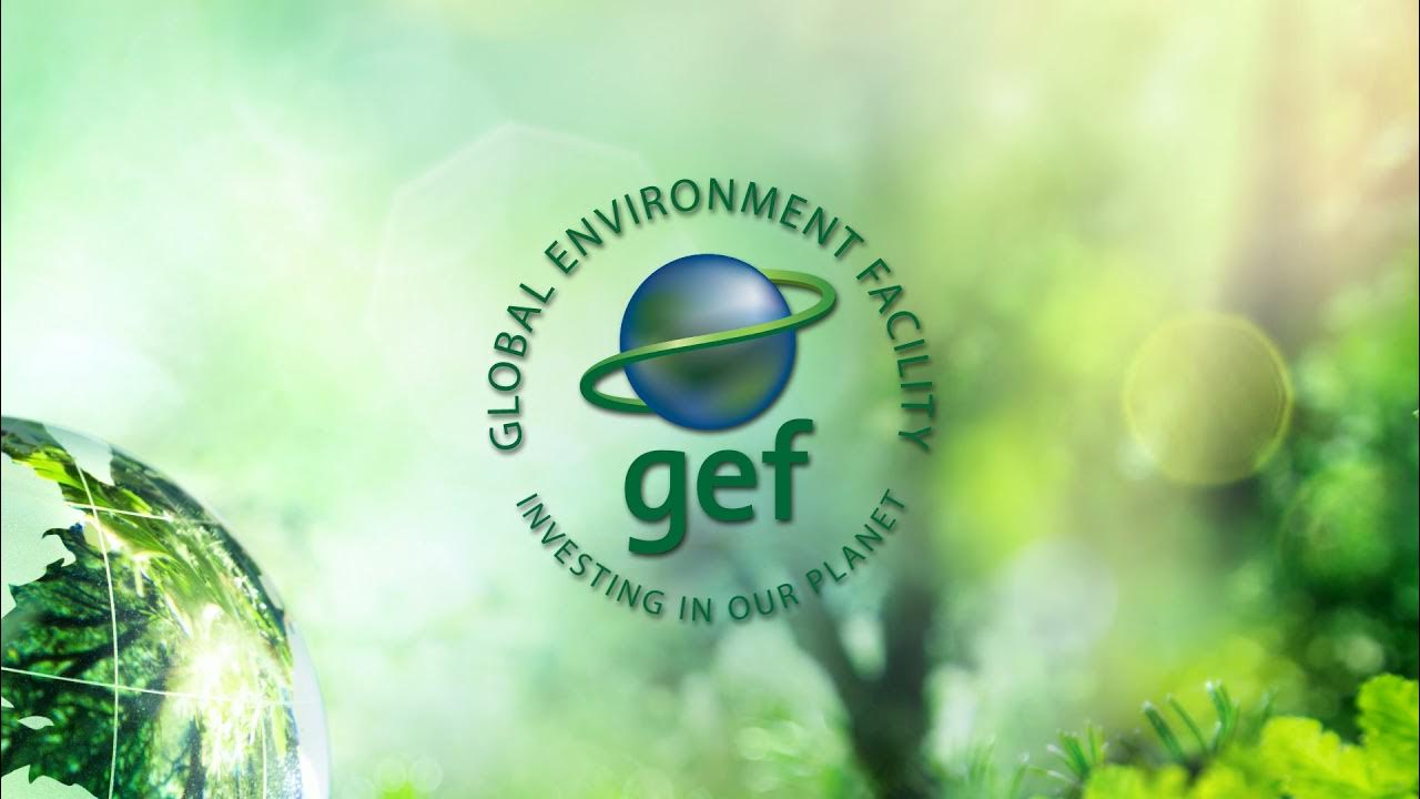 Global Environment Facility (GEF) - Logo Animation - YouTube