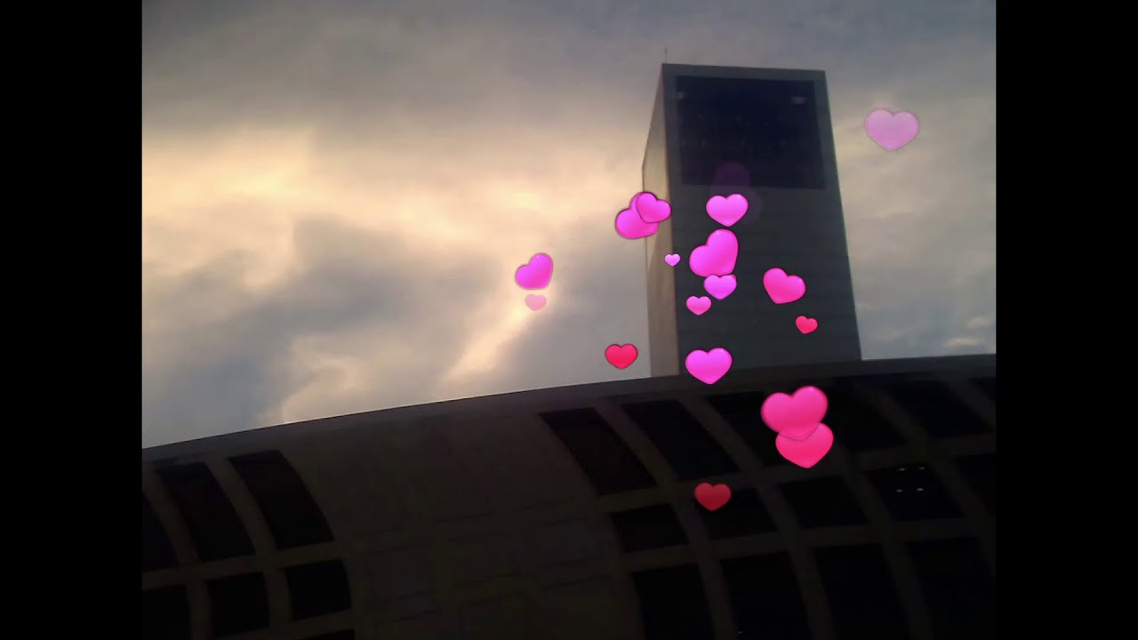 Nothing Left To Lose ~ Tangled the series (Torielle, ft Benjamin ...