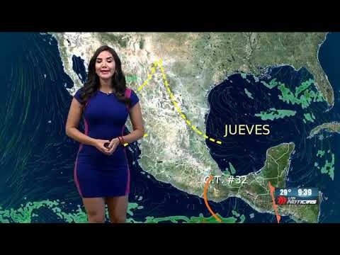 Alejandra Delgadillo Salazar