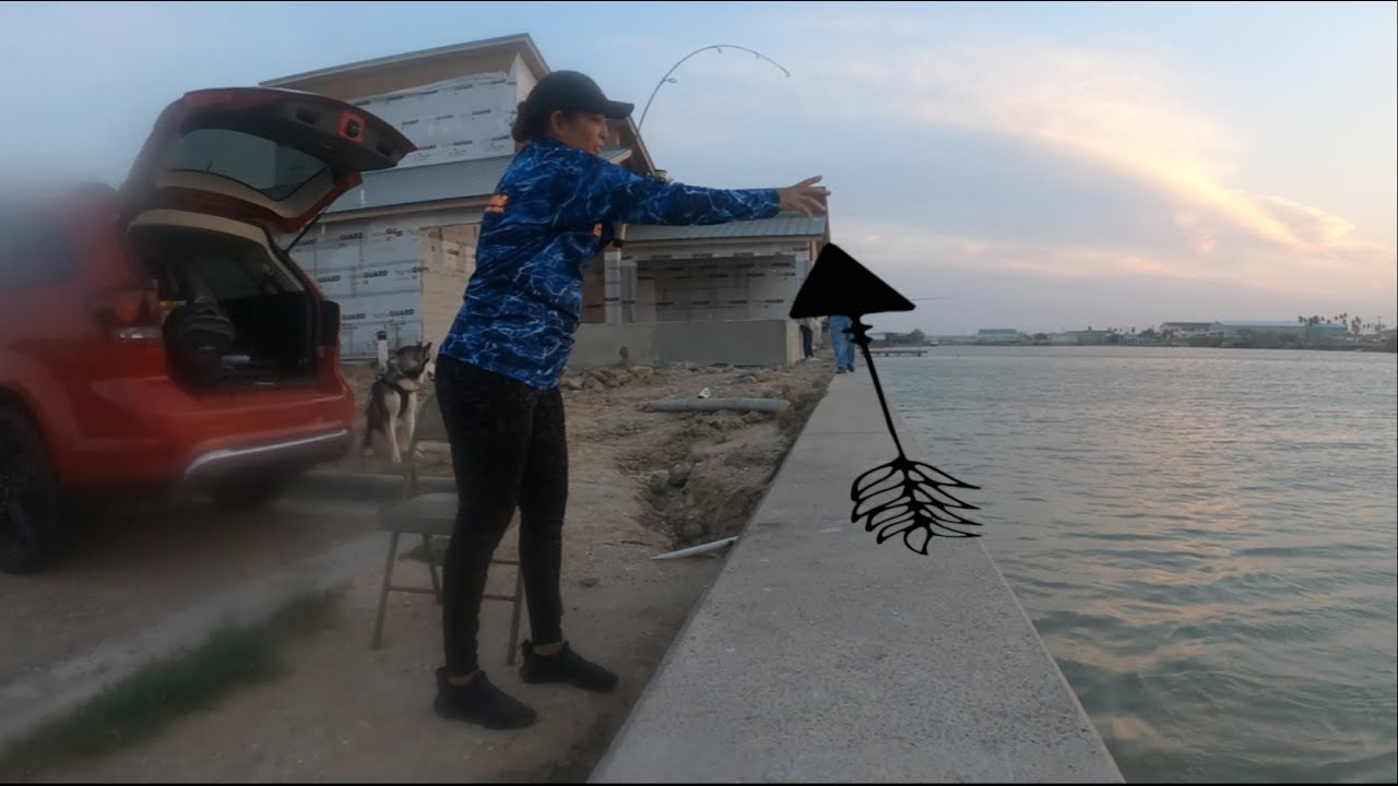 Little Rod produces baby trout! (South Parde Island) - YouTube