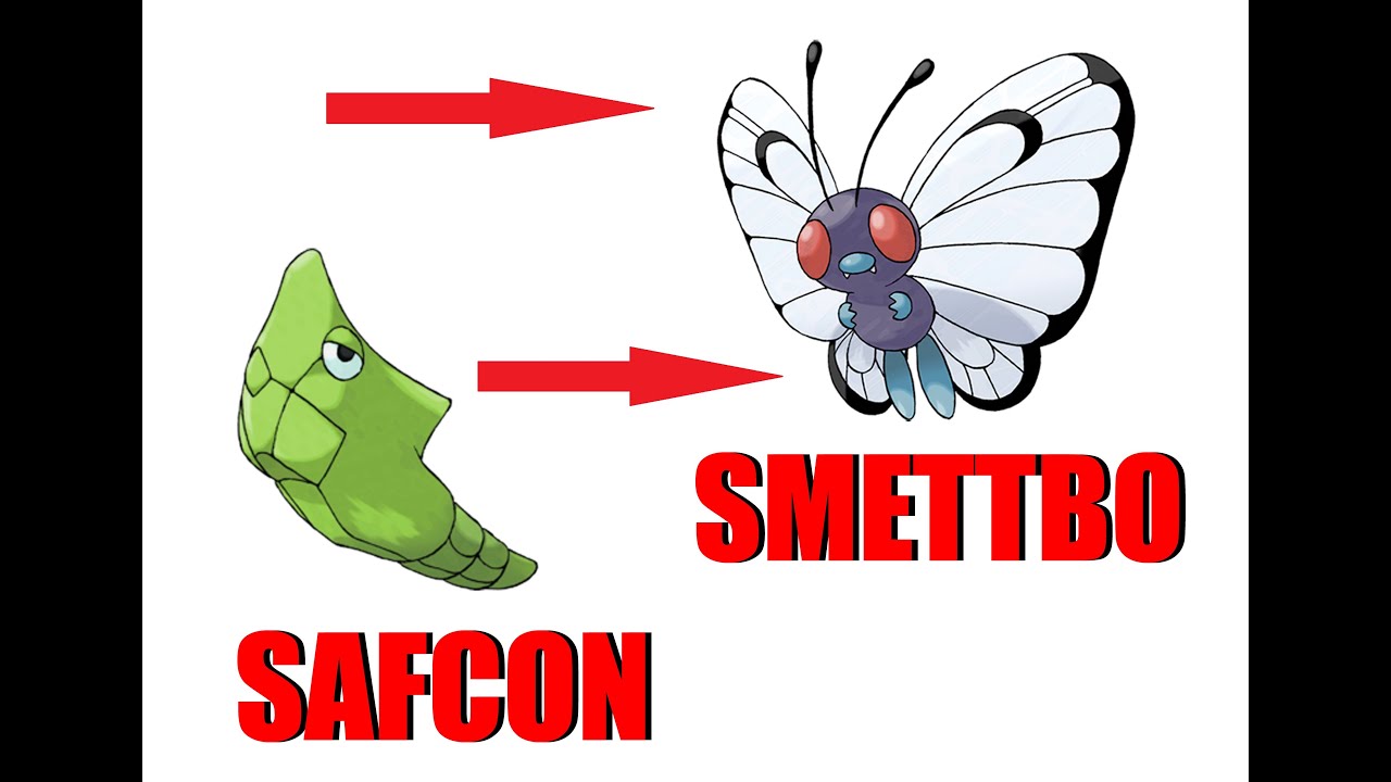 Safcon Entwicklung zu Smettbo / Metapod evolution to Butterfree ...