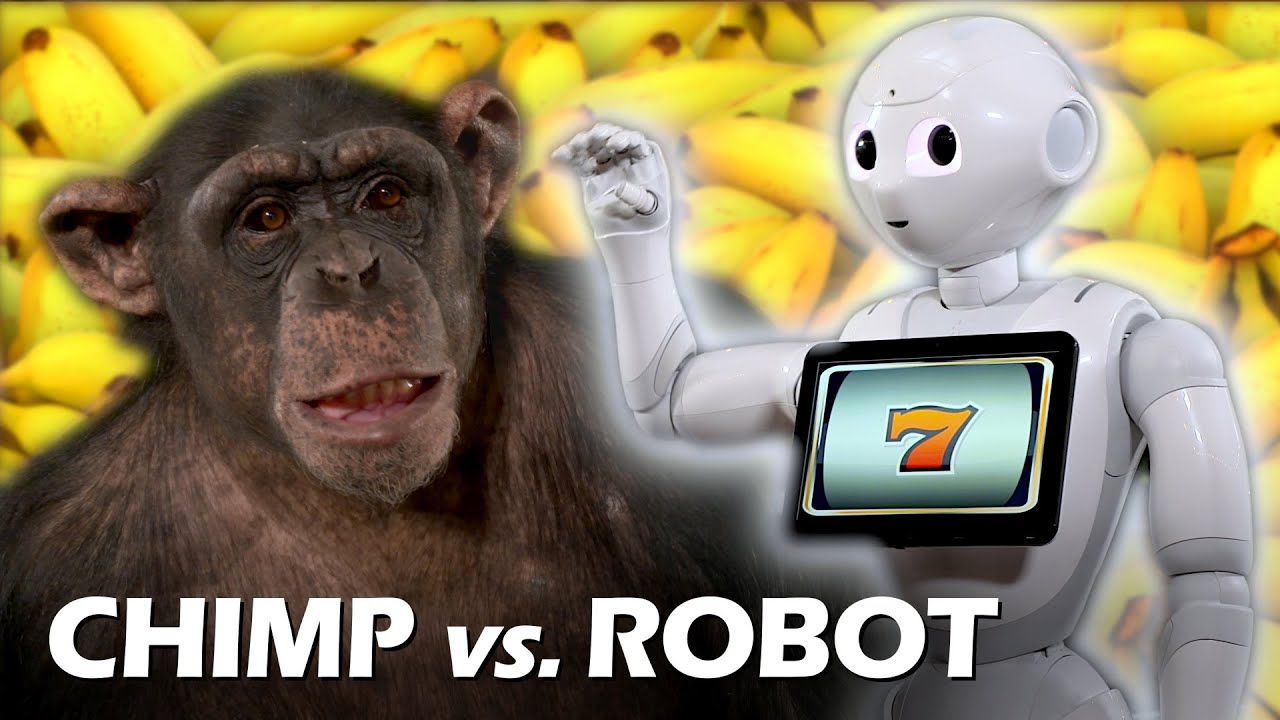 Chimp vs. Robot Magic - YouTube