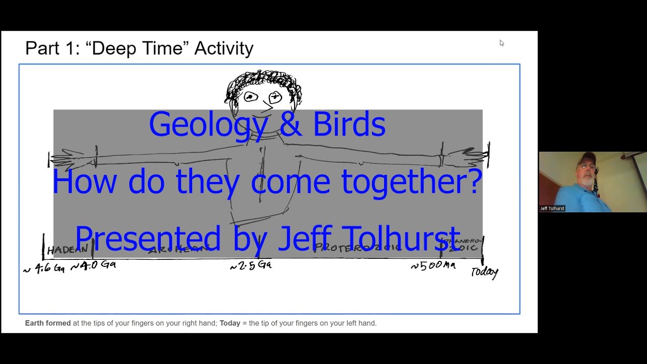 Geology & Birds - YouTube