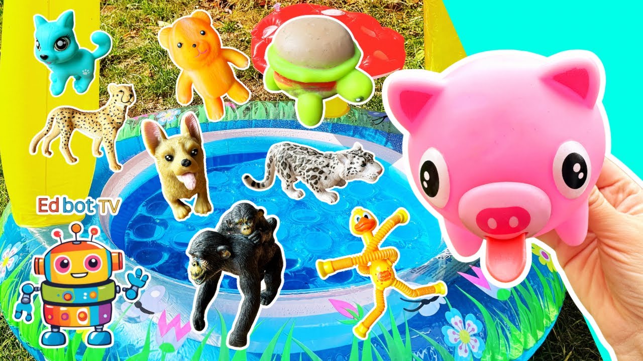 Learn Animal Names & Facts for Kids at the Toadstool Pool: Snow Leopard ...