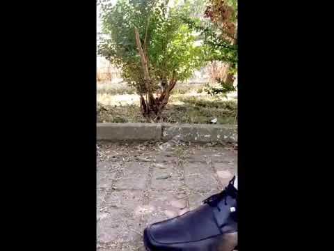 Yardıray abi 😂 iş başında