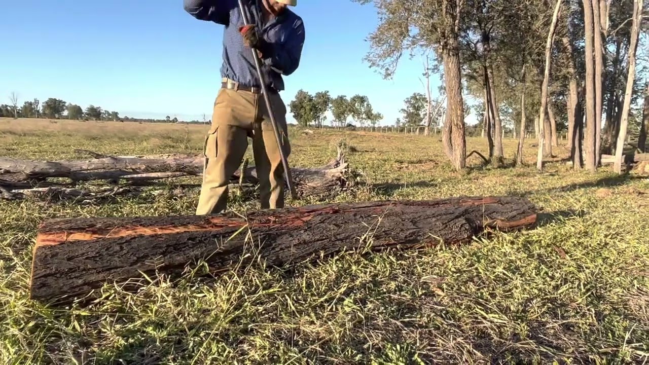 Woodworking Skills, how to debark a log. - YouTube