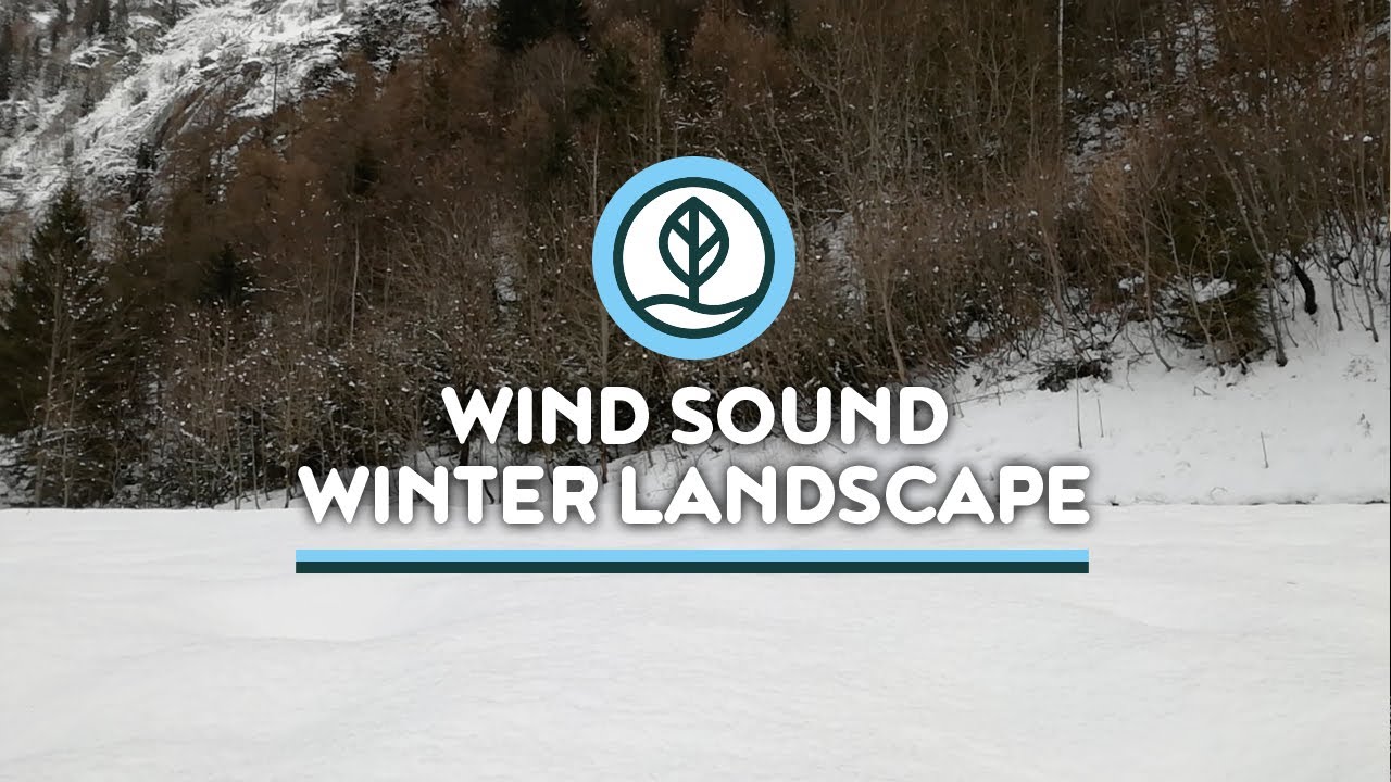 Winter landscape wind sound in snow, trees mountain ambience | Relaxing ...