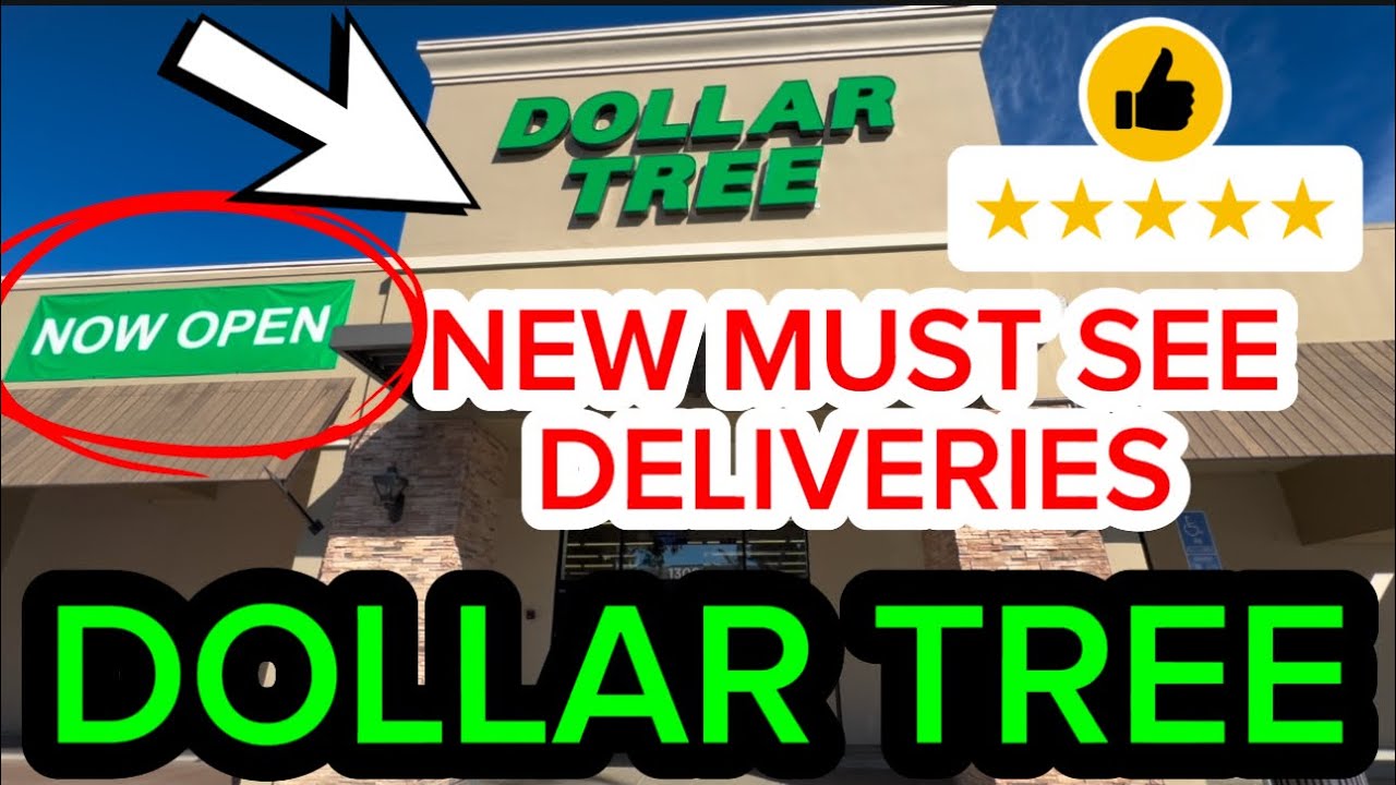 NEW ITEMS DELIVERED🚛🛍️ DOLLAR TREE FEBRUARY 2025 - YouTube