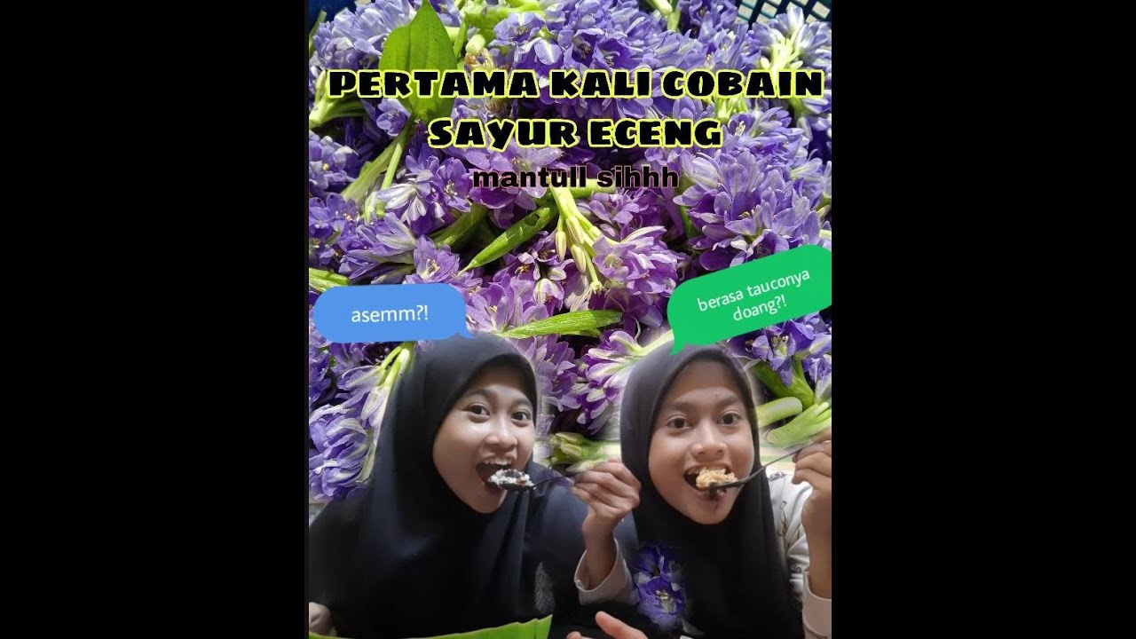 PERTAMA KALI COBAIN SAYUR ECENG #MASAKMASAKBARENGAYBELL - YouTube
