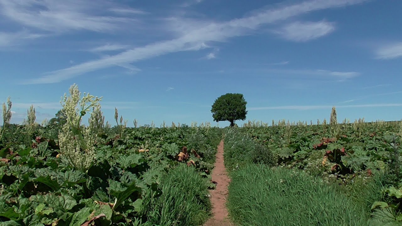 A Year Long Walk Through The Seasons #walking #seasons - YouTube