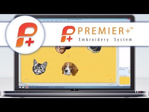 PREMIER+™ - Using Groups - YouTube
