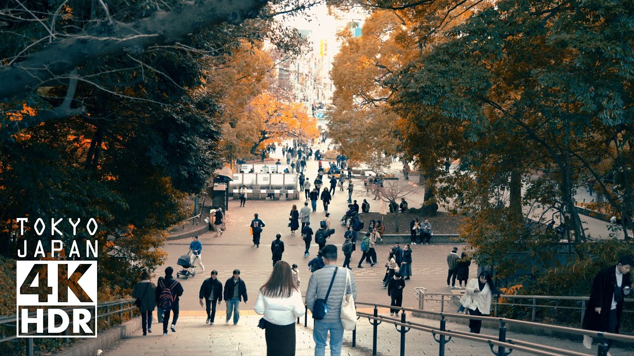 Walking from Uguisudani to Akihabara in Tokyo 4K HDR（Relaxing Ambient Sounds in Japan） - YouTube