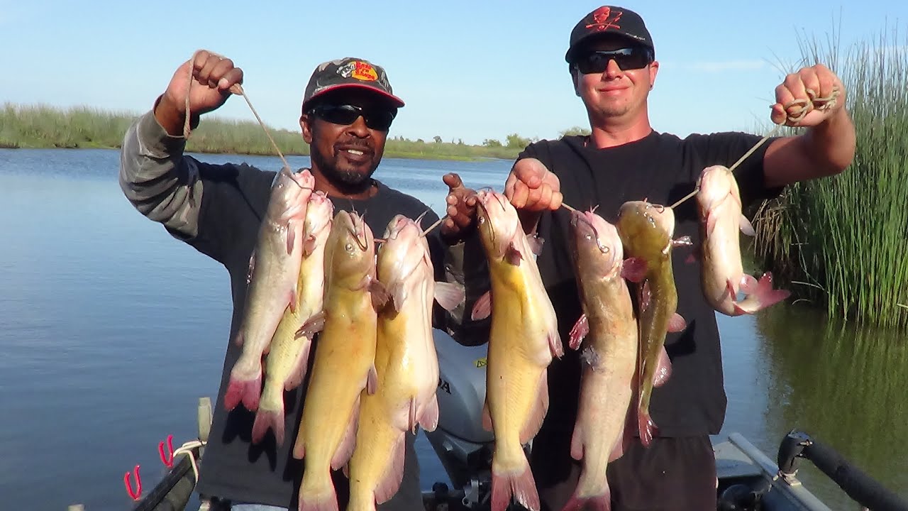 SPRINGTIME... CALF. DELTA CATFISH ! - YouTube