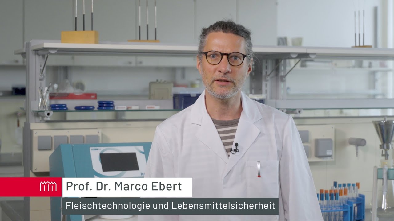 Food Chain Environments, Vertiefungsrichtung Qualitätsmanagement - Prof. Dr. Marco Ebert - YouTube