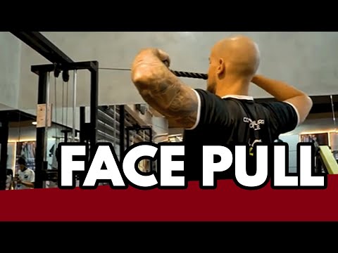 Face Pull - YouTube