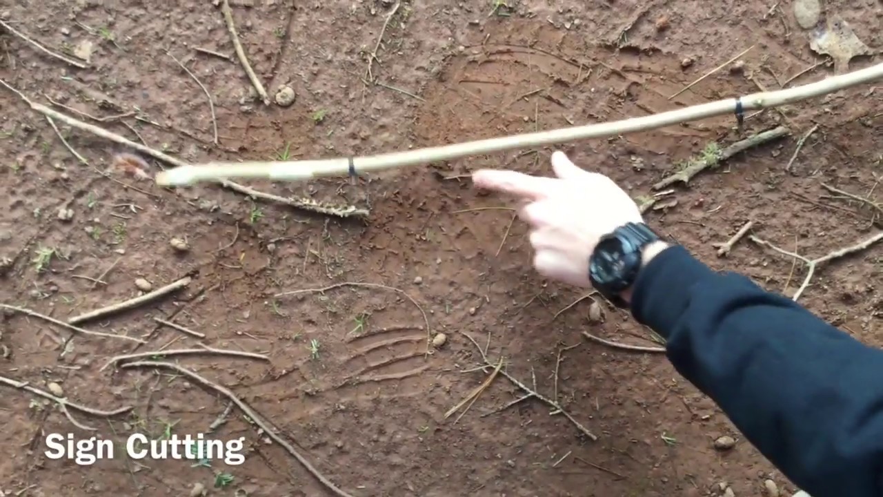 Sign Cutting Video - YouTube