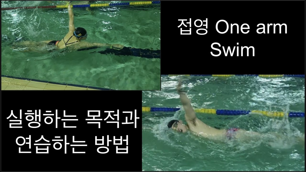 접영 one arm swim을 실행하는 목적과 연습하는 방법 - YouTube