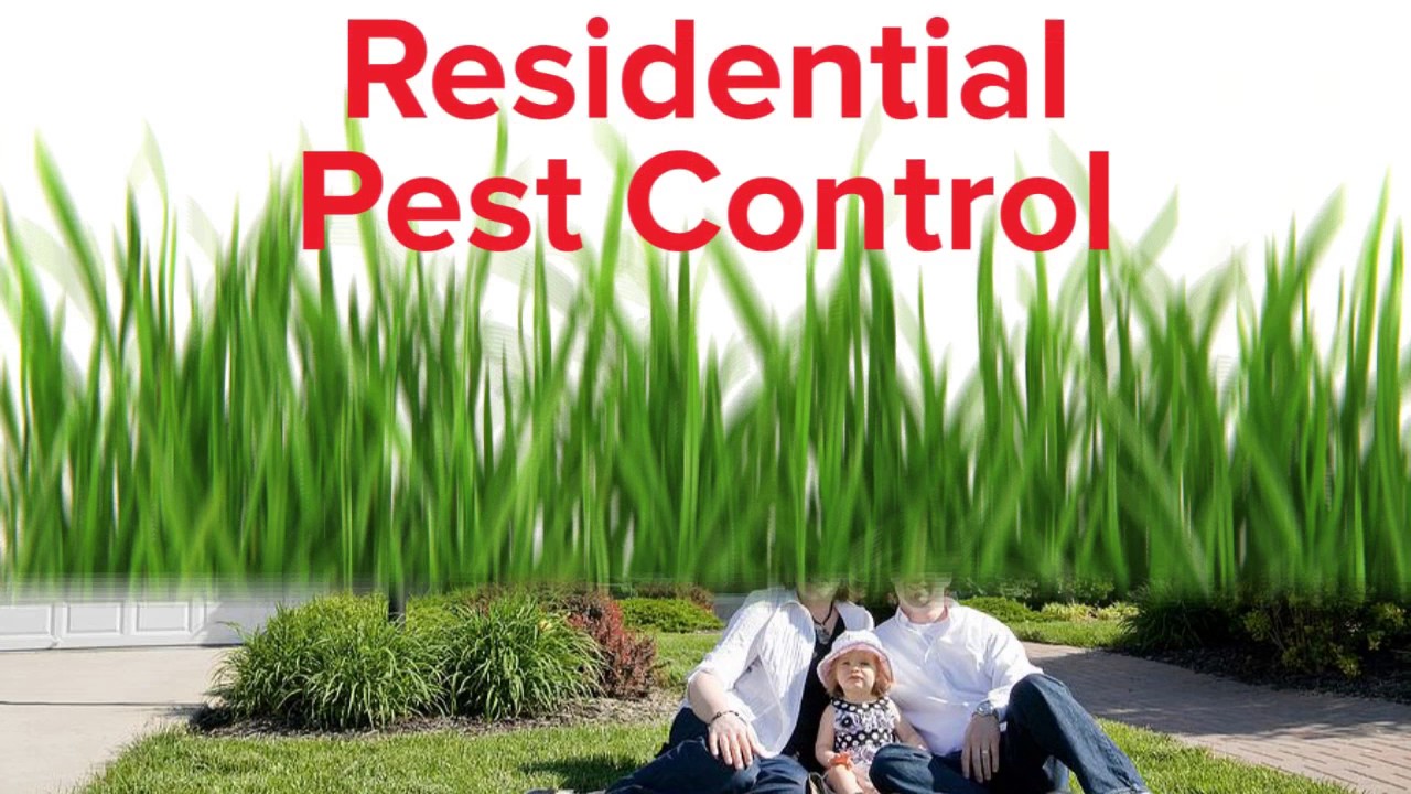 Ameri-Tech Pest Control Venus TX 76084 Rodent Control - YouTube