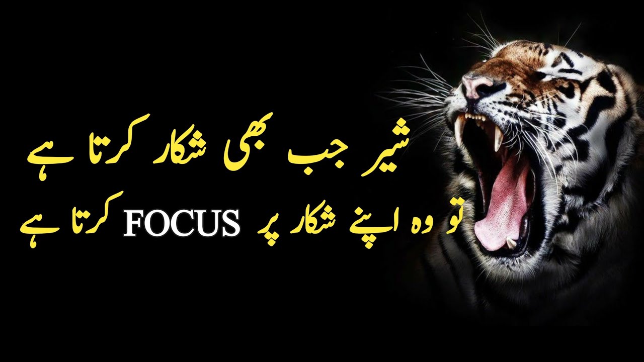 Whenever a lion hunts, it focus on its | Focus on just that | Learn ...