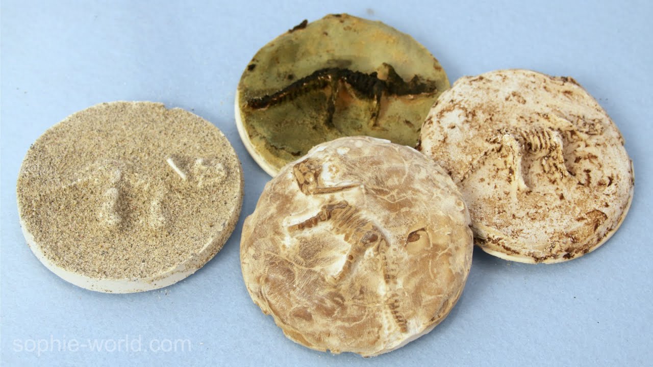 How to Make Handmade Dinosaur Fossils | Sophie's World - YouTube