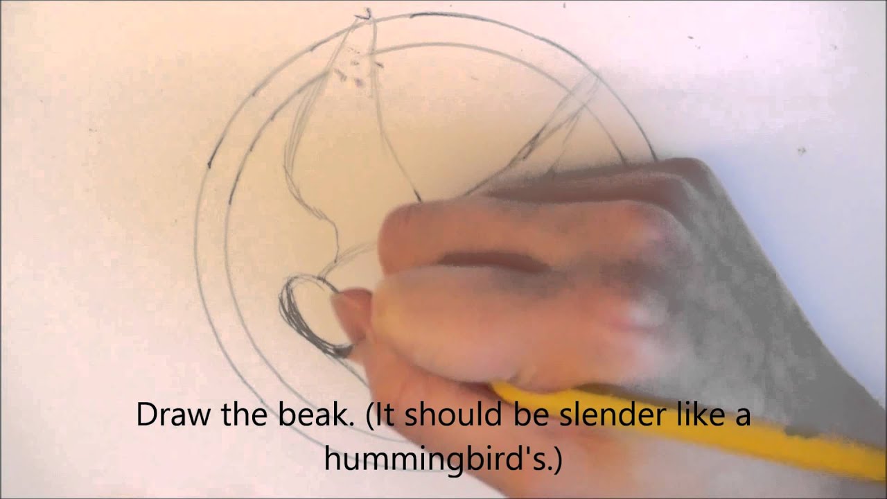 mockingjay tutorial: how to draw a mockingjay - YouTube